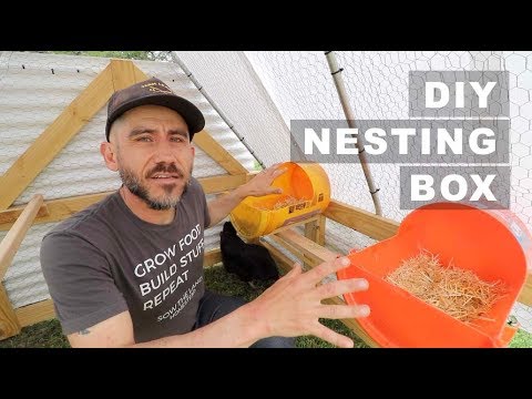 How to make a NESTING Box from 5 Gallon BUCKET - YouTube