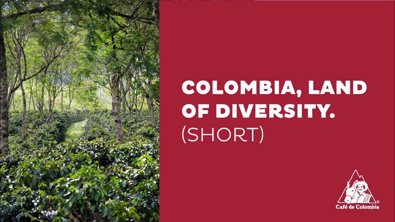 Colombia, Land of Diversity. (Short). - YouTube