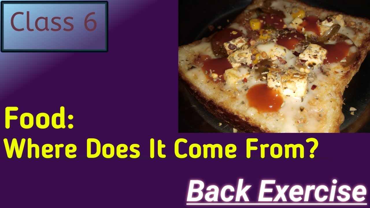 Class 6 Science Chapter 1 Exercise Solutions Sci NCERT Chapter 1 class-6-science-chapter-1-exercise-solutions-sci-ncert-chapter-1