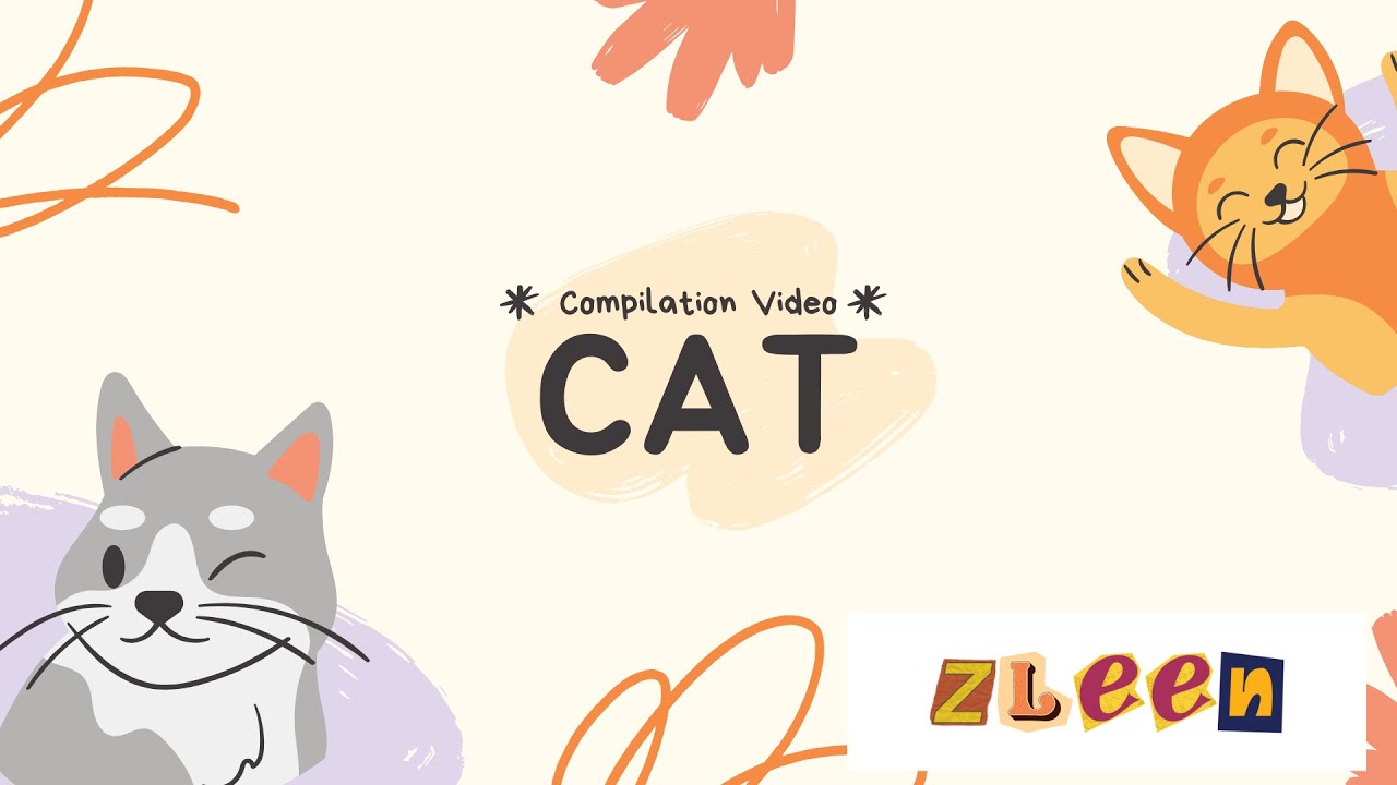 TYPES OF CAT | JENIS-JENIS KUCING - YouTube