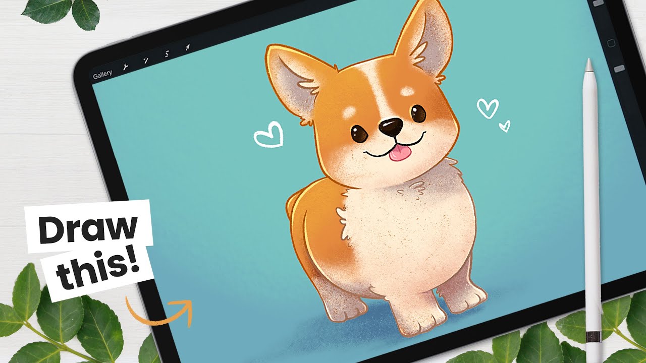 How To Draw A Corgi • Cute Illustration Tutorial - YouTube
