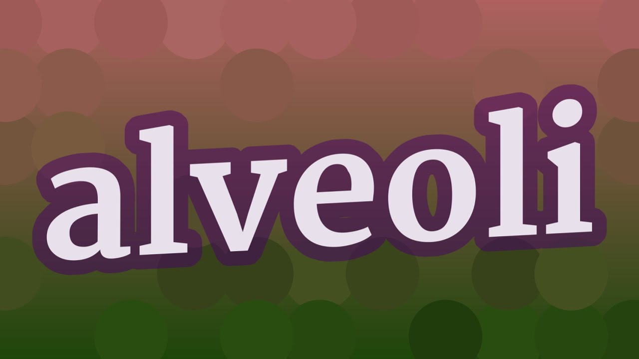 ALVEOLI pronunciation • How to pronounce ALVEOLI - YouTube