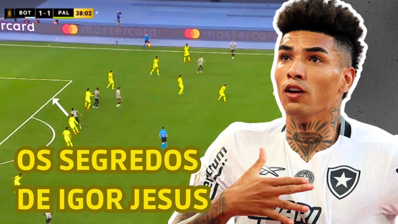 É POR ISSO QUE O IGOR JESUS, DO BOTAFOGO, FOI CONVOCADO PARA A SELEÇÃO ...