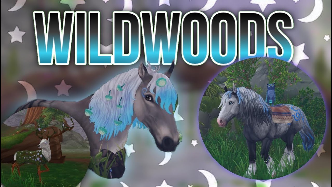 NEUES GEBIET! Die HERDEN von WILDWOODS! |SSO - YouTube