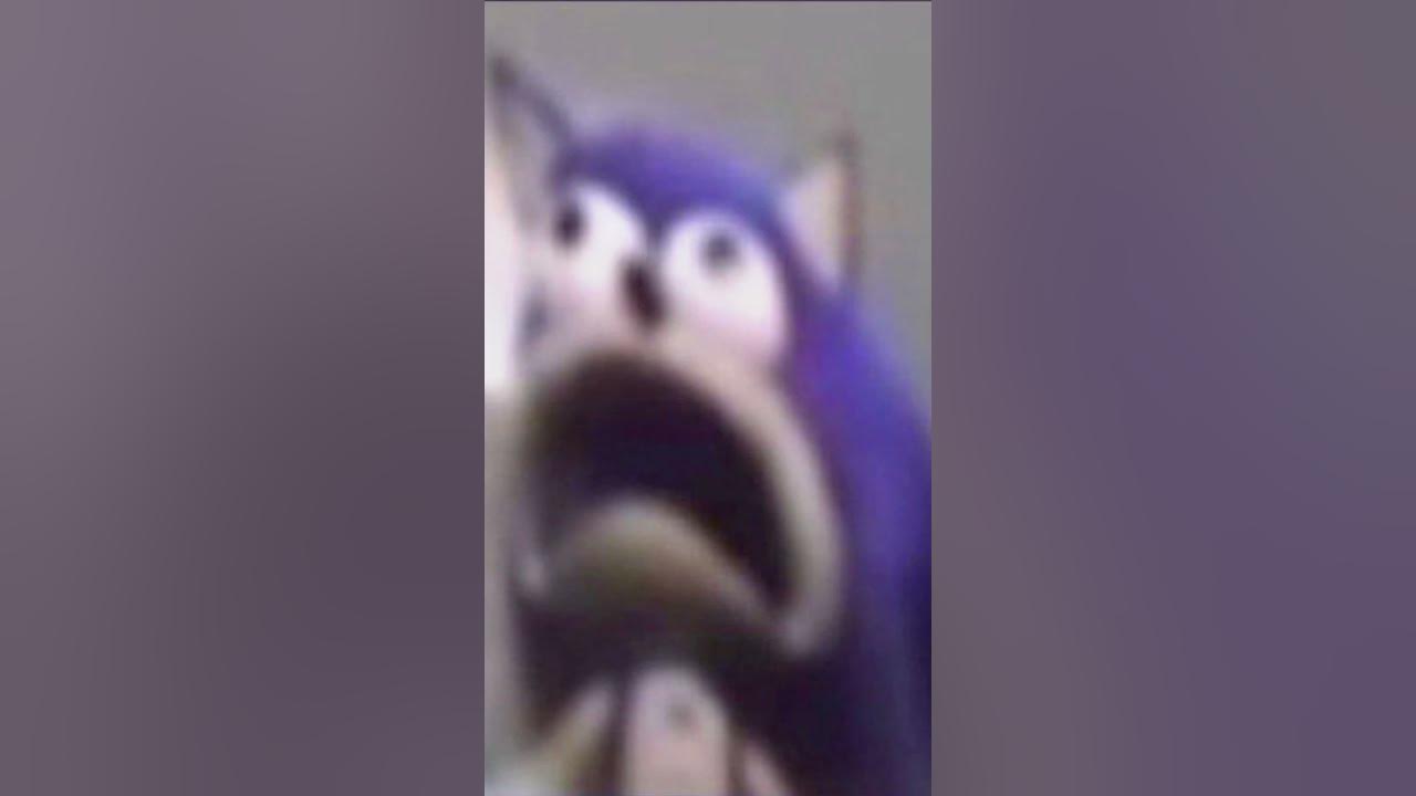 Goofy Ahh Sonic Youtube