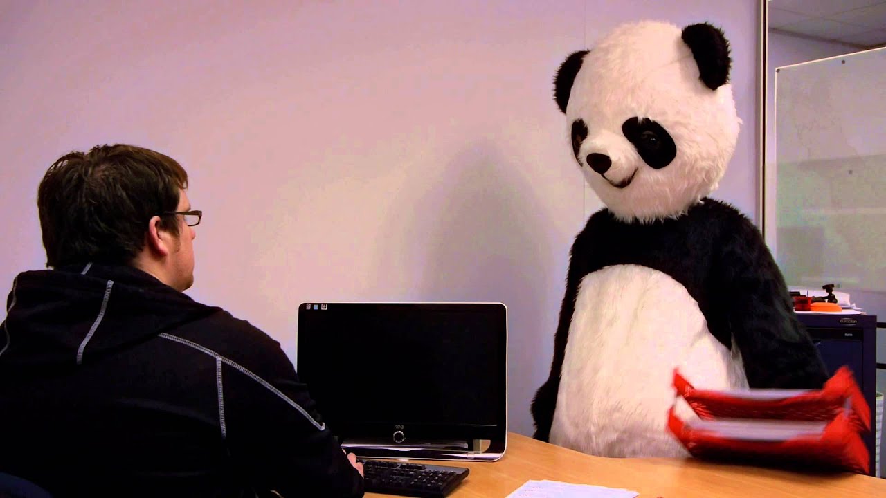 Antioch 2013 - Panda in the office - YouTube