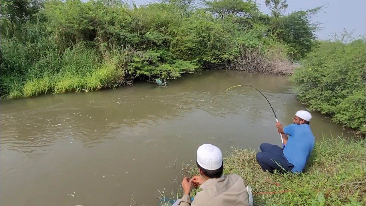 Piranha Fish Catching|Unique Fishing|Catching The Fishes In Small Hook ...