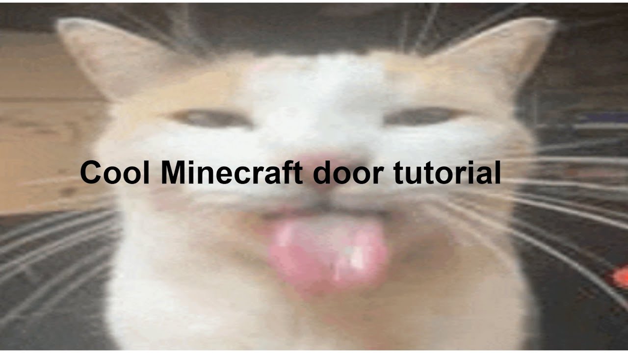 cool hidden redstone door tutorial - YouTube