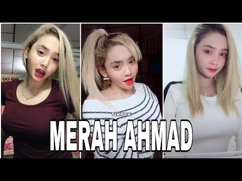 Video TikTok : 30955026513 (Merah Ahmad) || Lu Tapau
