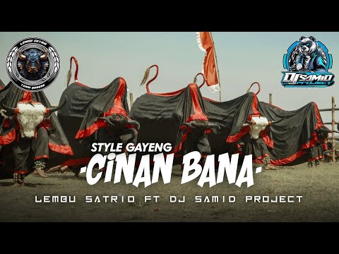 DJ BANTENGAN ‼️( CINAN BANA ), \