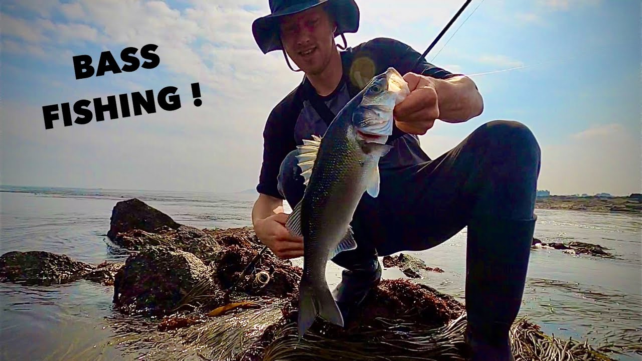 BASS FISHING - Catching Sea Bass with a Beautiful View ! Lure Fishing ...