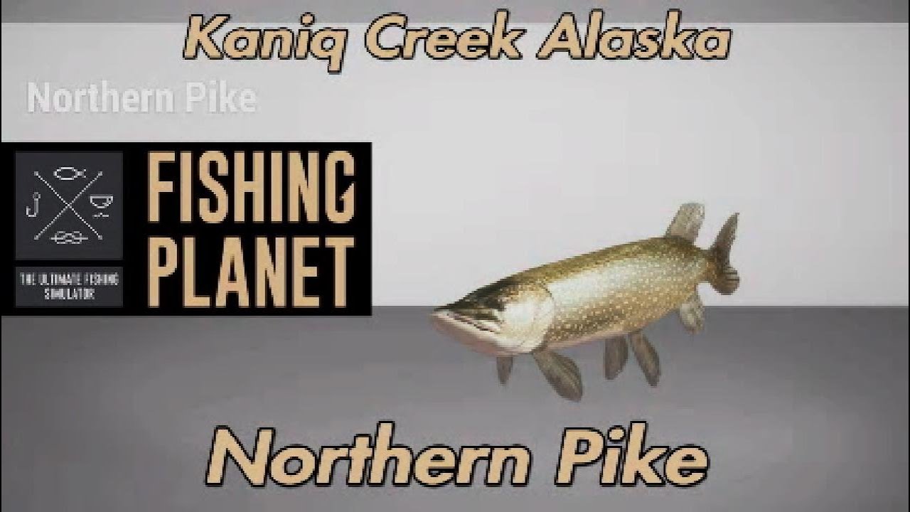 Fishing Planet Northern Pike Kaniq Creek Alaska Guide - YouTube