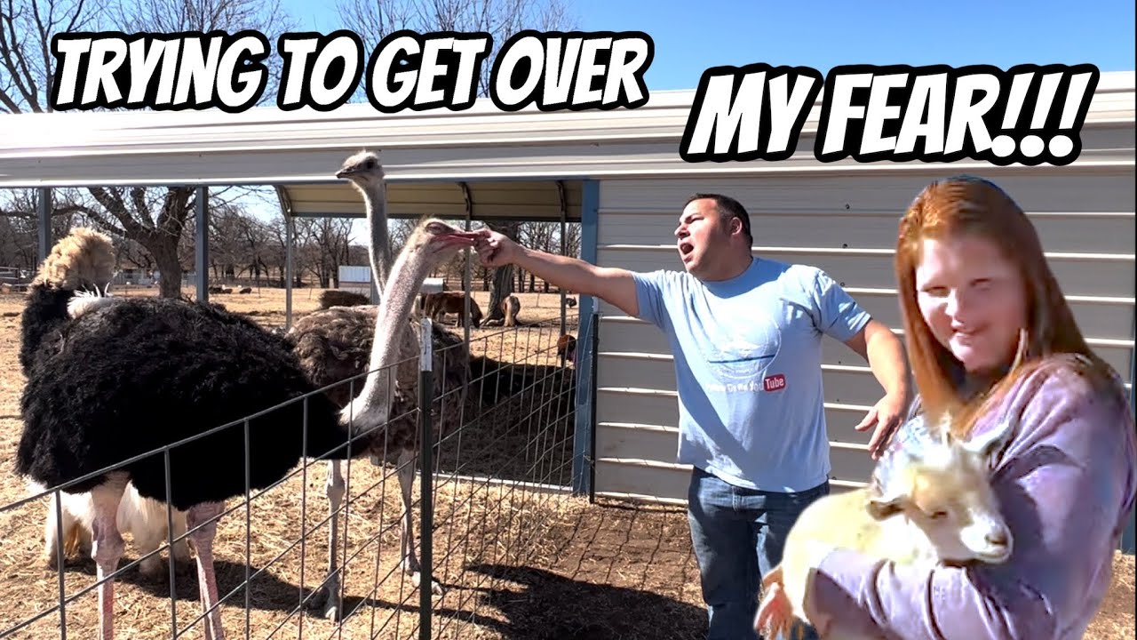 Farm Life Is Going To Been More Fun Than I Thought!!! - YouTube