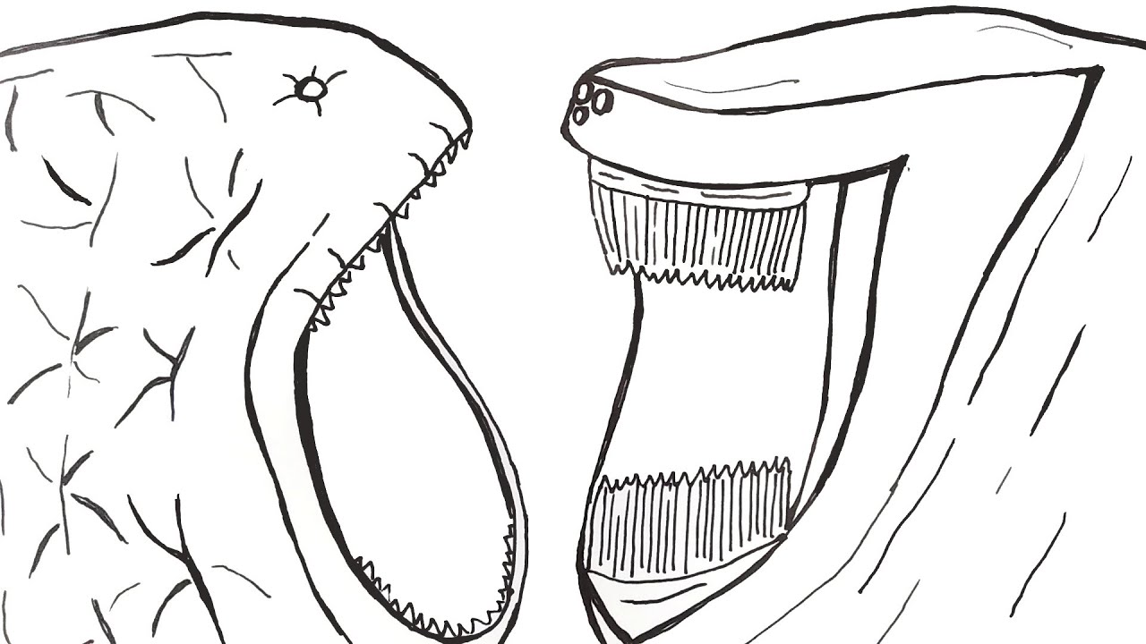 Easy Drawing The Bloop vs El Gran Majá - YouTube