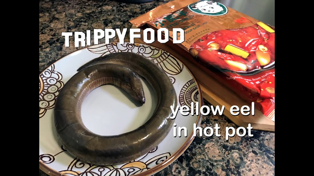yellow eel in hot pot - YouTube