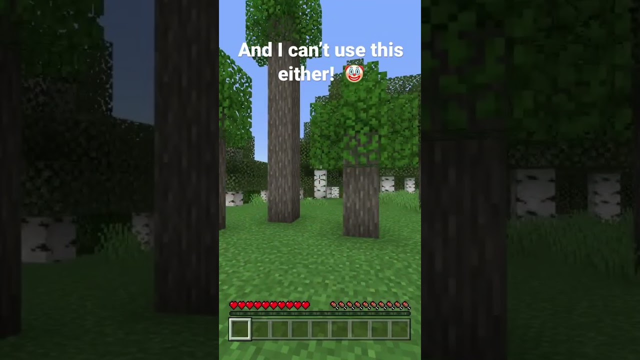 Every Single Minecraft Shorts Creator Be Like… 😂🤡 #shorts #minecraft ...