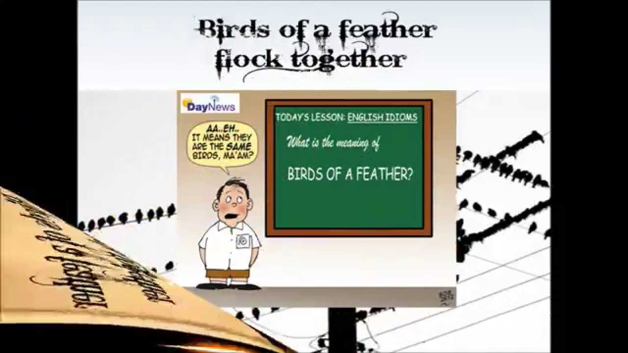 Birds of a Feather Flock Together - YouTube