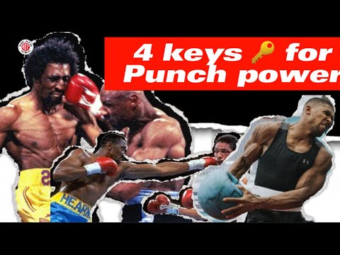 Maximize Punch Power: Explosive Boxing Techniques & Bad Intentions for ...