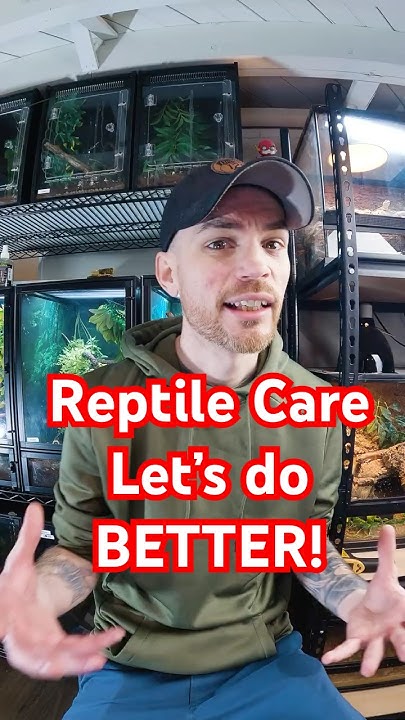 Reptile care is a responsibility! #reptiles #reptilecare #reptile - YouTube
