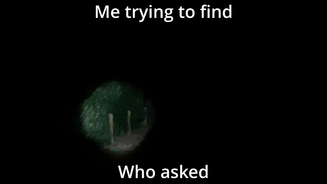 Me trying to find who asked - YouTube