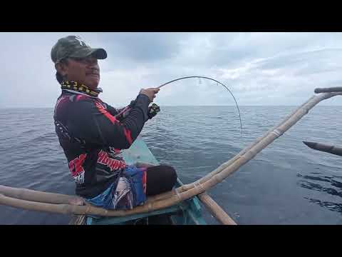Kuys Dagz Capung 632 versus 7 kg Ruby Snapper - Part 2 - YouTube