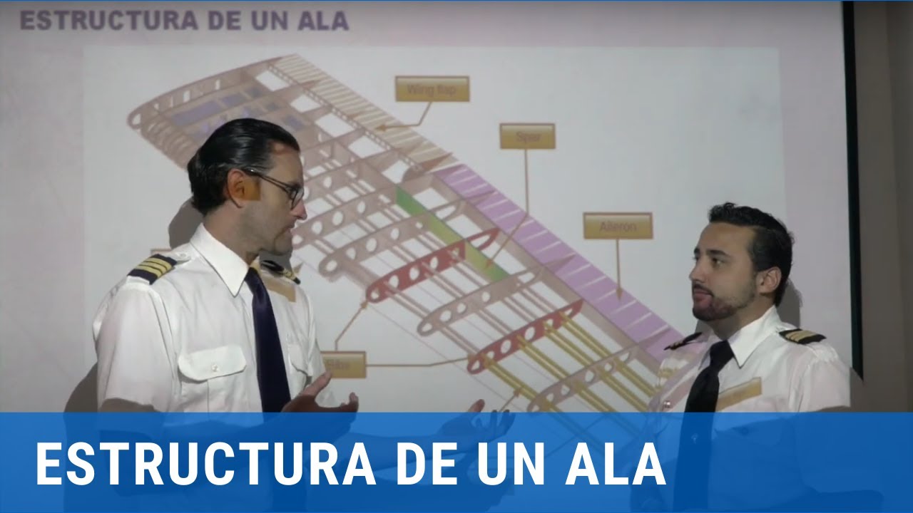 ¿Cómo es la ESTRUCTURA de un ALA? Una de las partes más importantes ...
