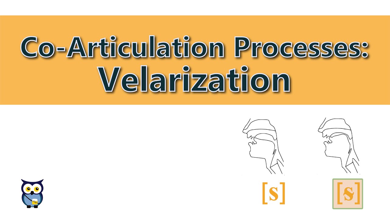 Co-Articulation Processes: Velarization - YouTube