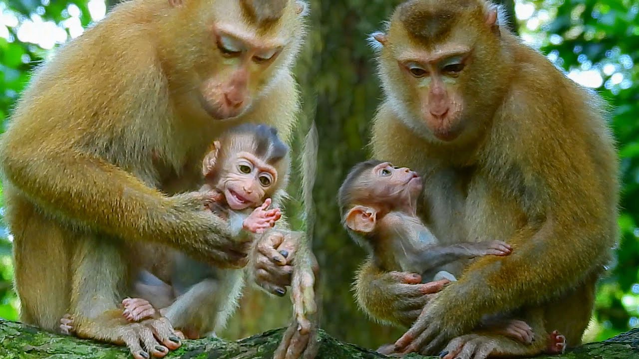 So pity Crying 😢 Adorable Rainbow Feeling not so Good with Louna - YouTube