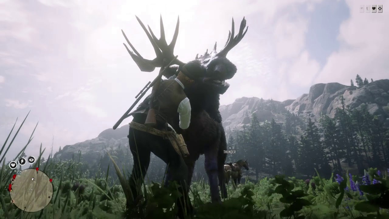 RDR2 FEMALE AND MALE MOOSE RED DEAD REDEMPTION 2 / HEMBRA Y MACHO DE ...