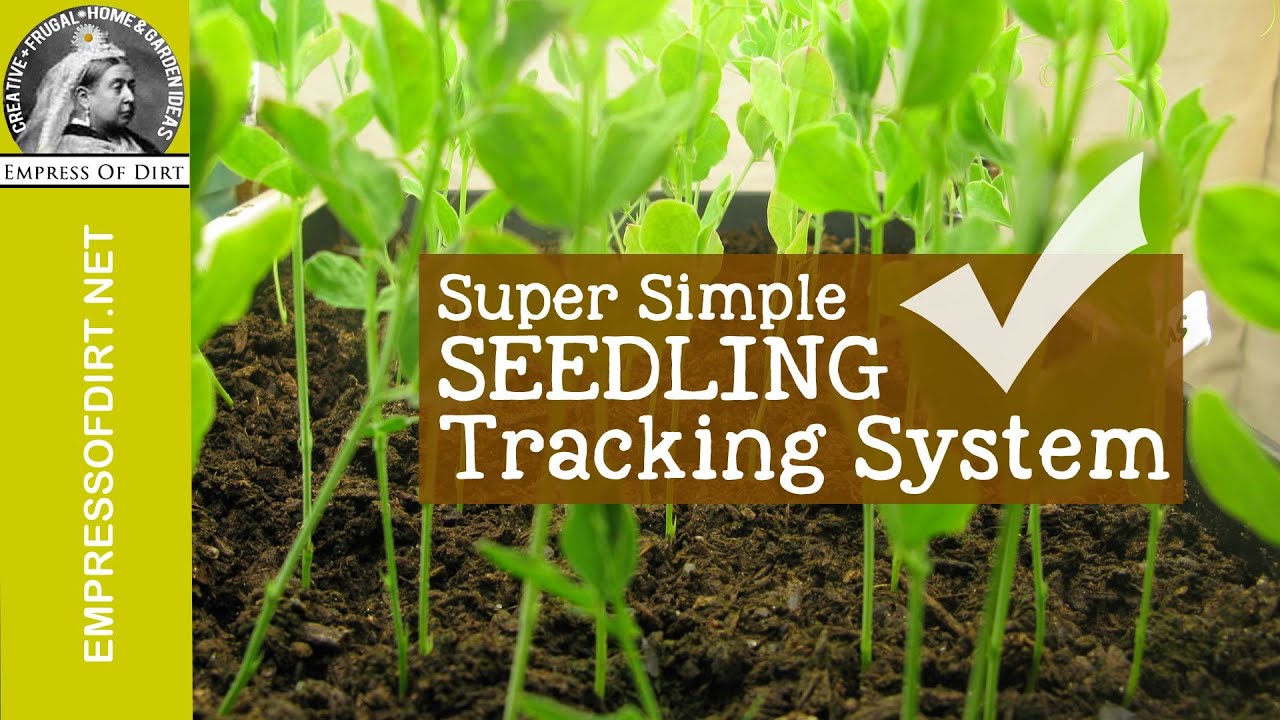 Seed Starting | Easy No-Tag Seedling Tracking System - YouTube