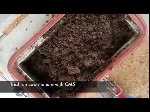CM5 cow menure start