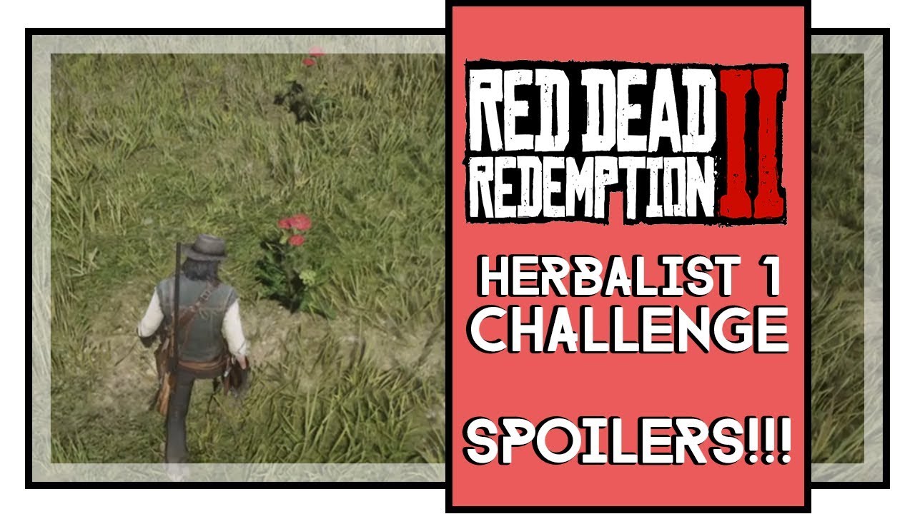 Red Dead Redemption 2 Herbalist 1 Challenge Guide [SPOILERS] - YouTube