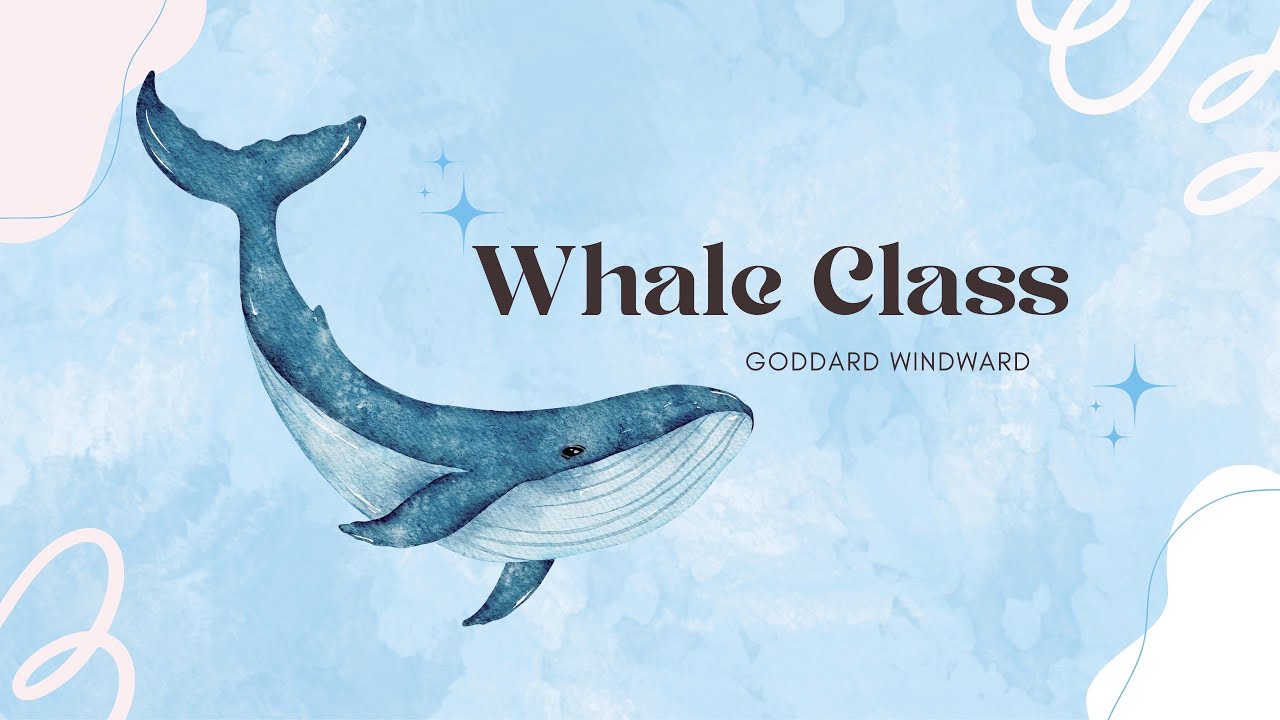 Virtual Tour: Whale Pre-Kindergarten II Class - YouTube