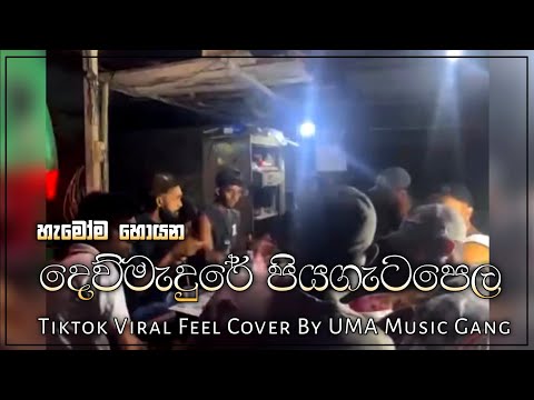 දෙව්මැදුරේ පියගැටපෙල | Dew Madure Piyagatapela Tiktok Viral Feel Guitar And Bongo Cover by UMA Gang