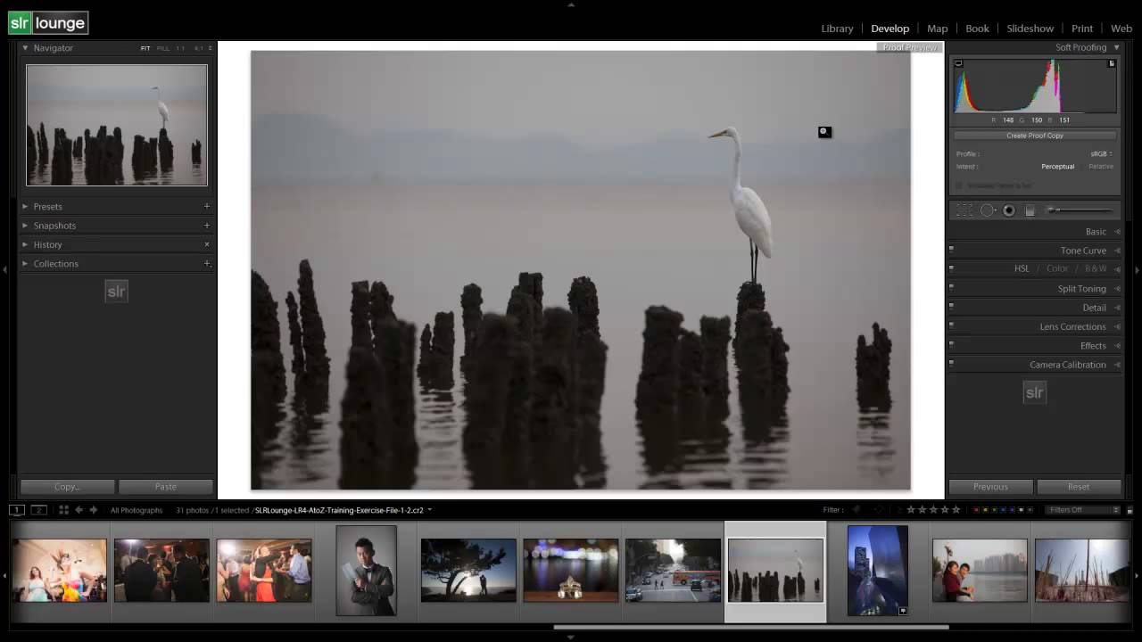 Soft Proofing: A New Feature in Develop Module Toolbar - From the Lightroom 4 A to Z Workshop on ...