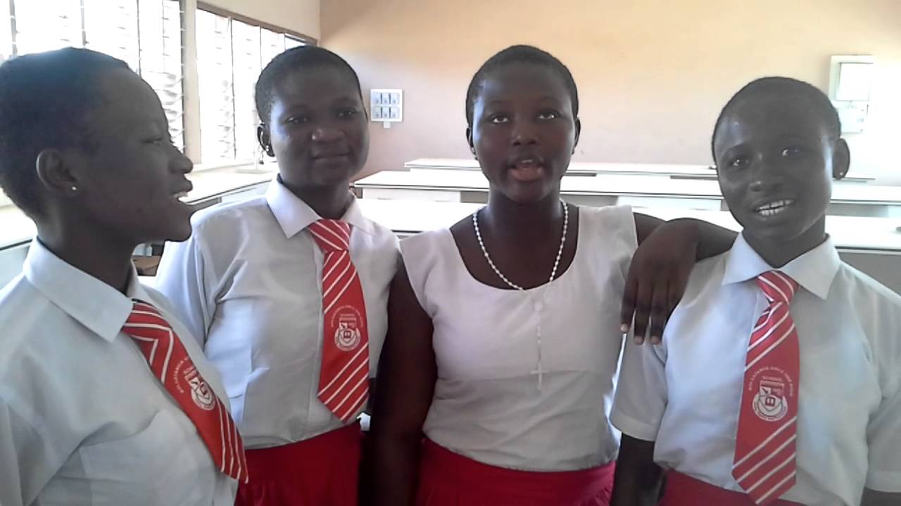 Bogiss new - YouTube