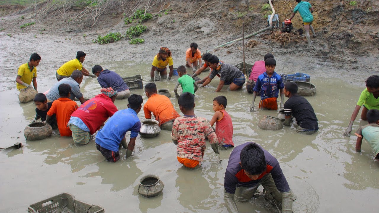 Village Fishing | People Catching Fish by Hand From River | Amazing ...