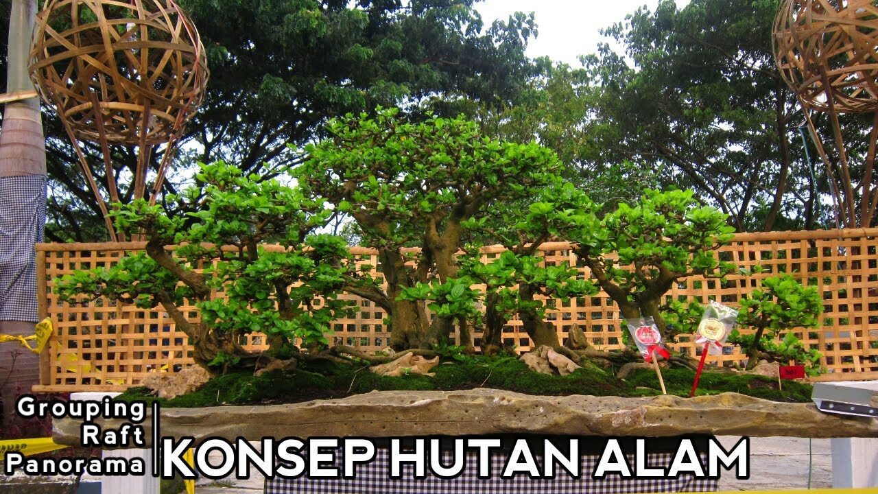 INSPIRASI BONSAI PANORAMA PENJING GROUPING PAMERAN 2022 - YouTube