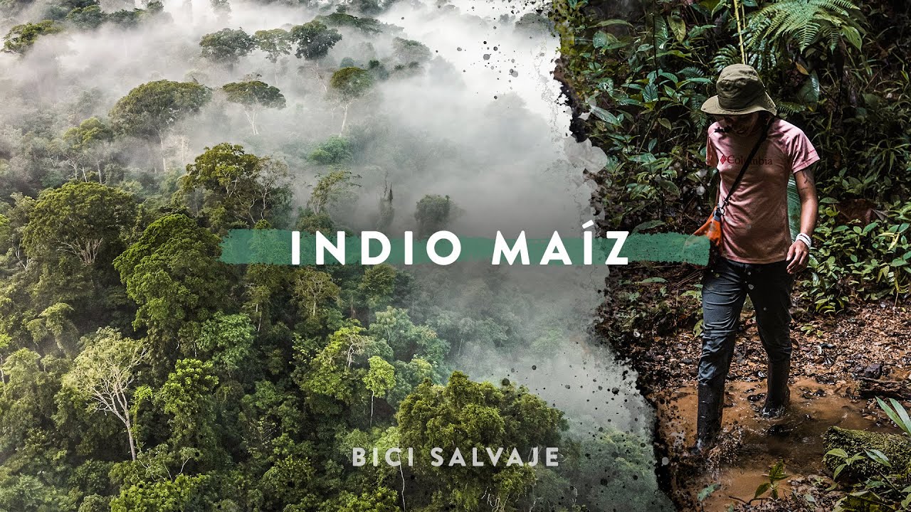 El SECRETO de INDIO MAÍZ 🌿 La SELVA de CENTROAMÉRICA 📢 - YouTube