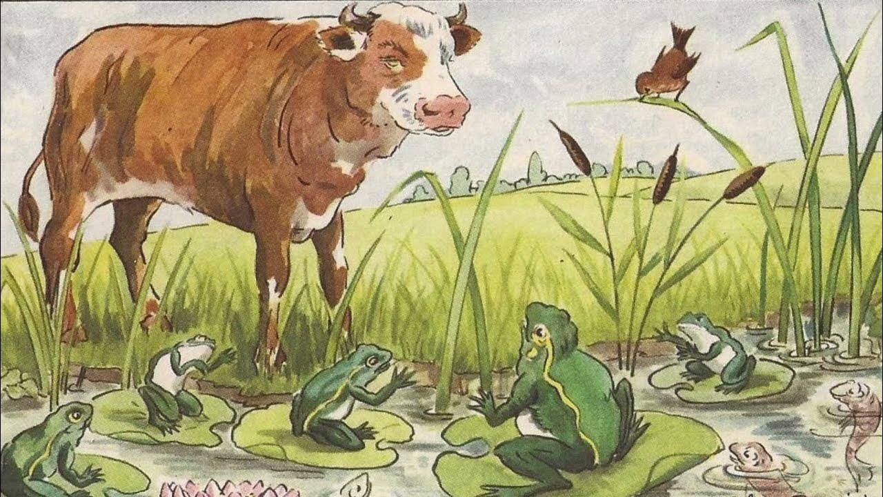 la grenouille et le bœuf - YouTube
