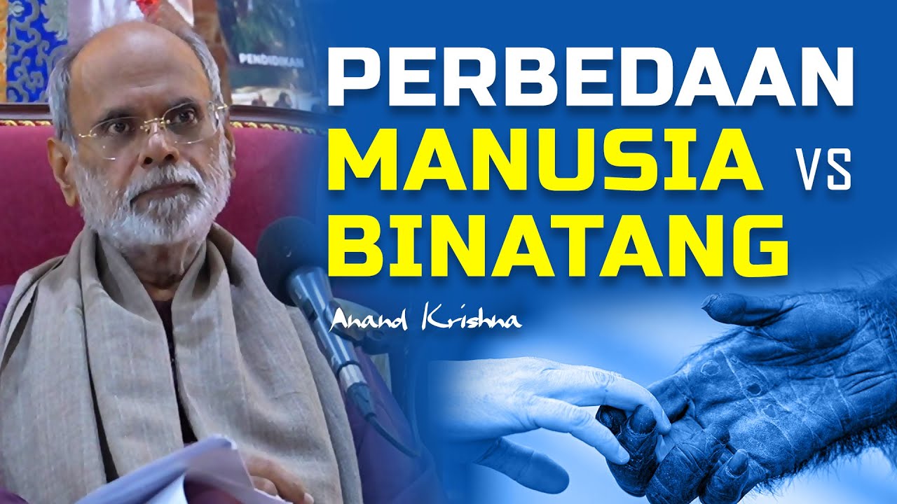 Perbedaan Manusia vs Binatang - YouTube