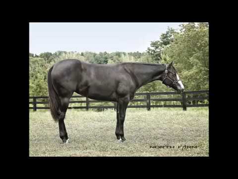 Lazy Lopin In Lace ***SOLD*** - YouTube