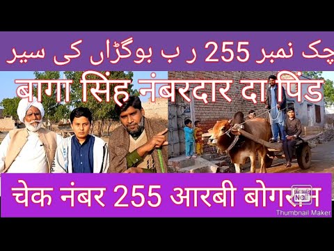 Visit Of Chak No 255 RB Bogran Fasial abad|Aminpur Bangla ki dunya ...