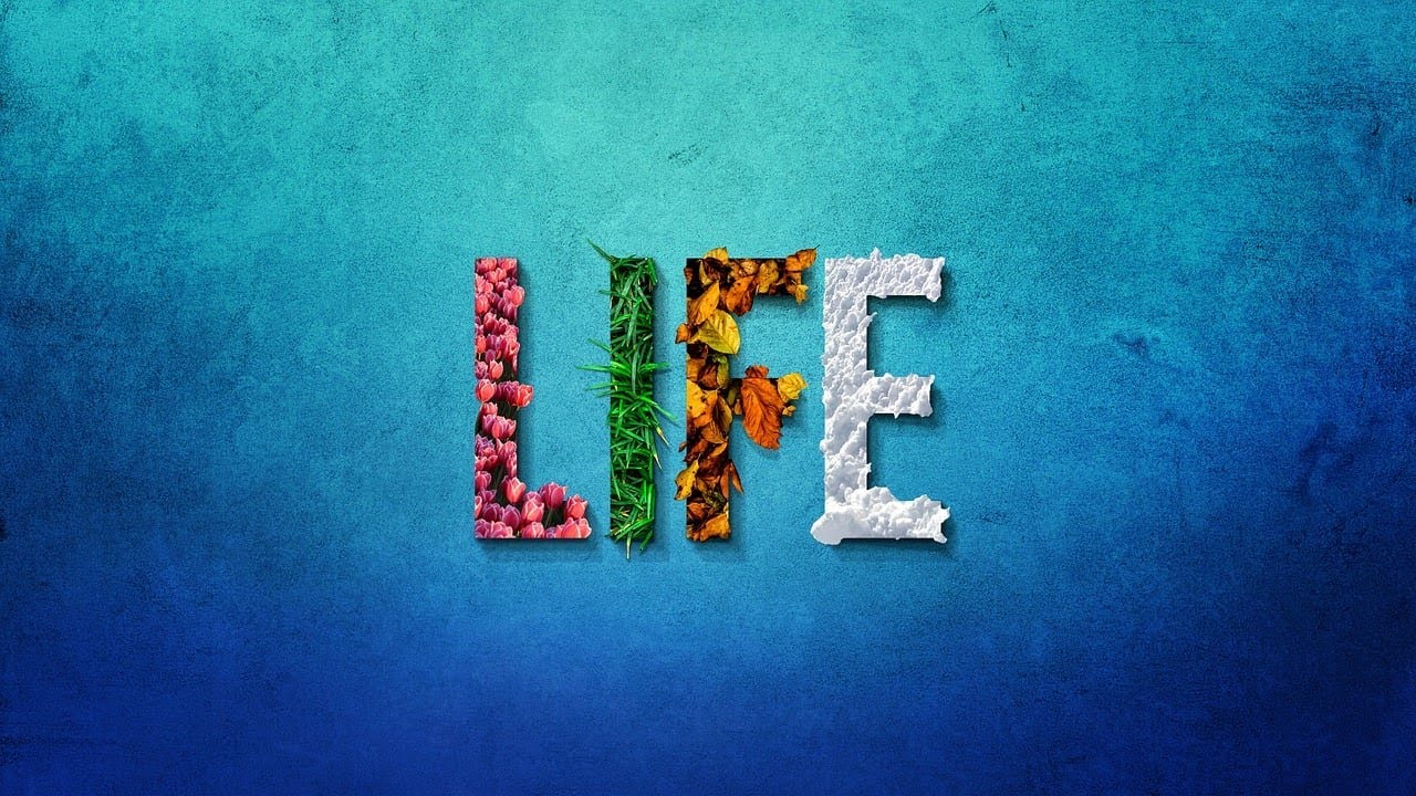 What is life about? And how does life go on forever? It's INFINITE ...