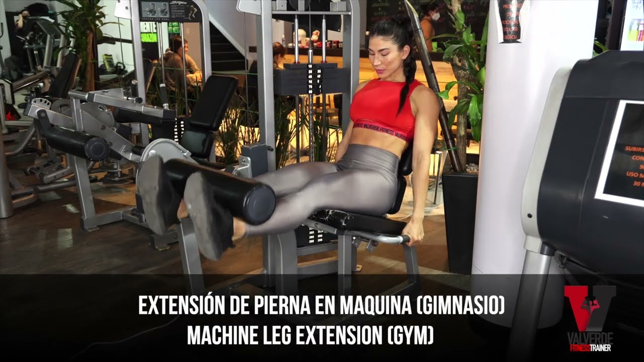 Extensión de pierna en maquina (Gimnasio) - Machine Leg Extension (Gym ...