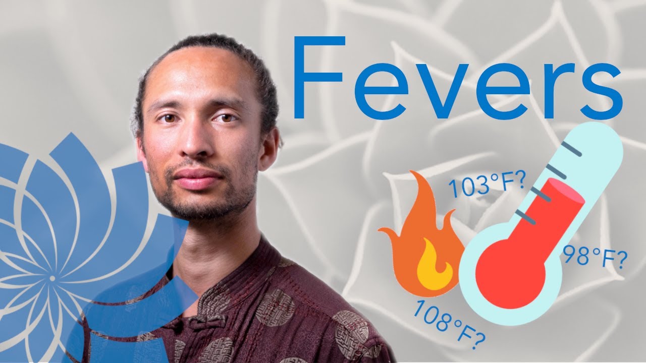 Fever? Good! | Whole Systems Healthcare | Dr. Kye Peven, ND DSOM LAc ...
