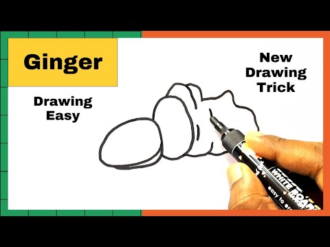 How To Draw A Ginger | Ginger Drawing Very Easy | Easy Drawing ...