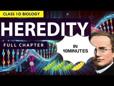 NCERT CLASS 10TH CHAPTER 8/ HEREDITY IN 10 MINUTES/ ANIMATED - YouTube