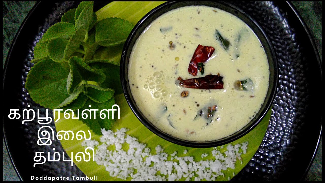 Doddapatre Tambuli Recipe in Tamil | Karpooravalli Tambuli | Cold and ...