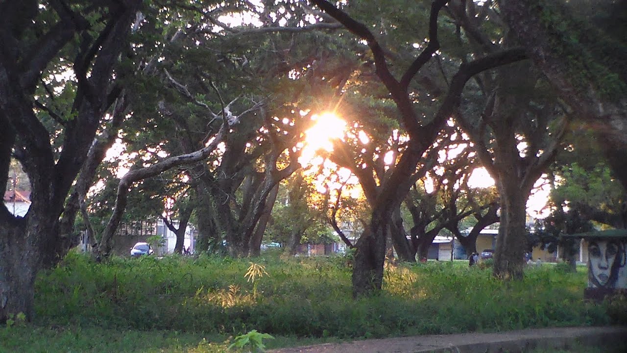 VLOG - ATARDECER EN BIRUACA/APURE-VENEZUELA #ApureEsdeBendicion - YouTube